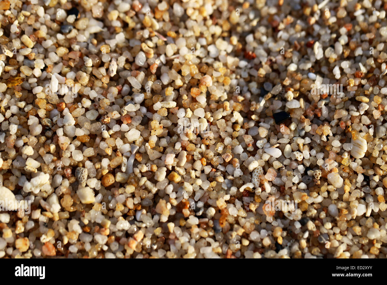Big yellow sand on the beach is photographed close-up Stock Photo - Alamy