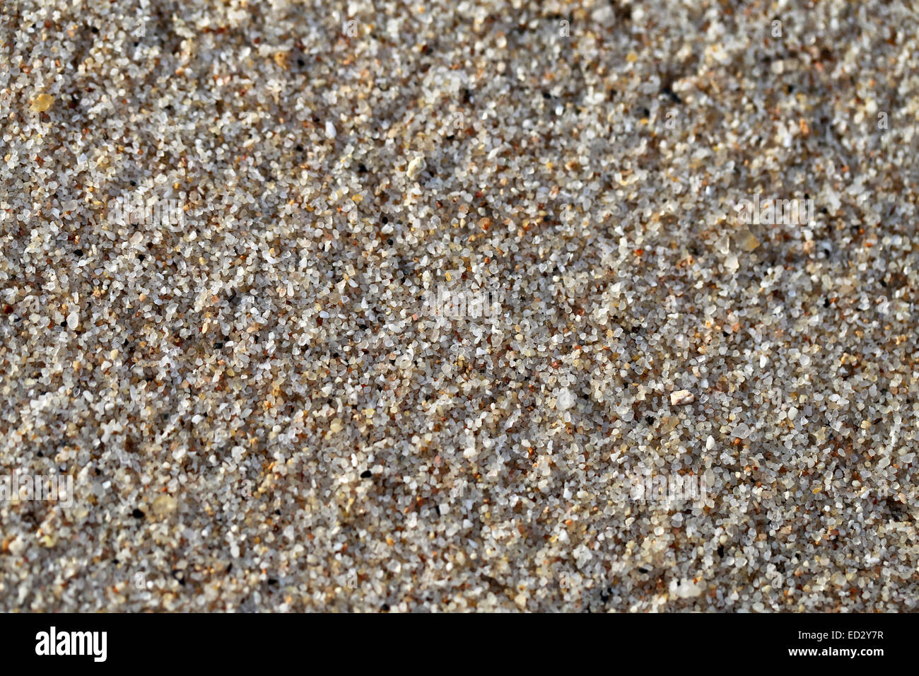 Big yellow sand on the beach is photographed close-up Stock Photo - Alamy