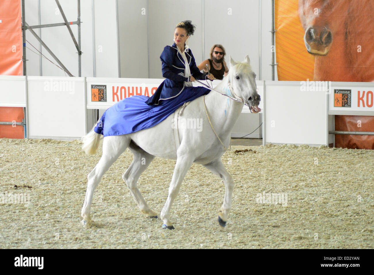 International Equestrian Exhibition During the show. Woman jockey in a ...