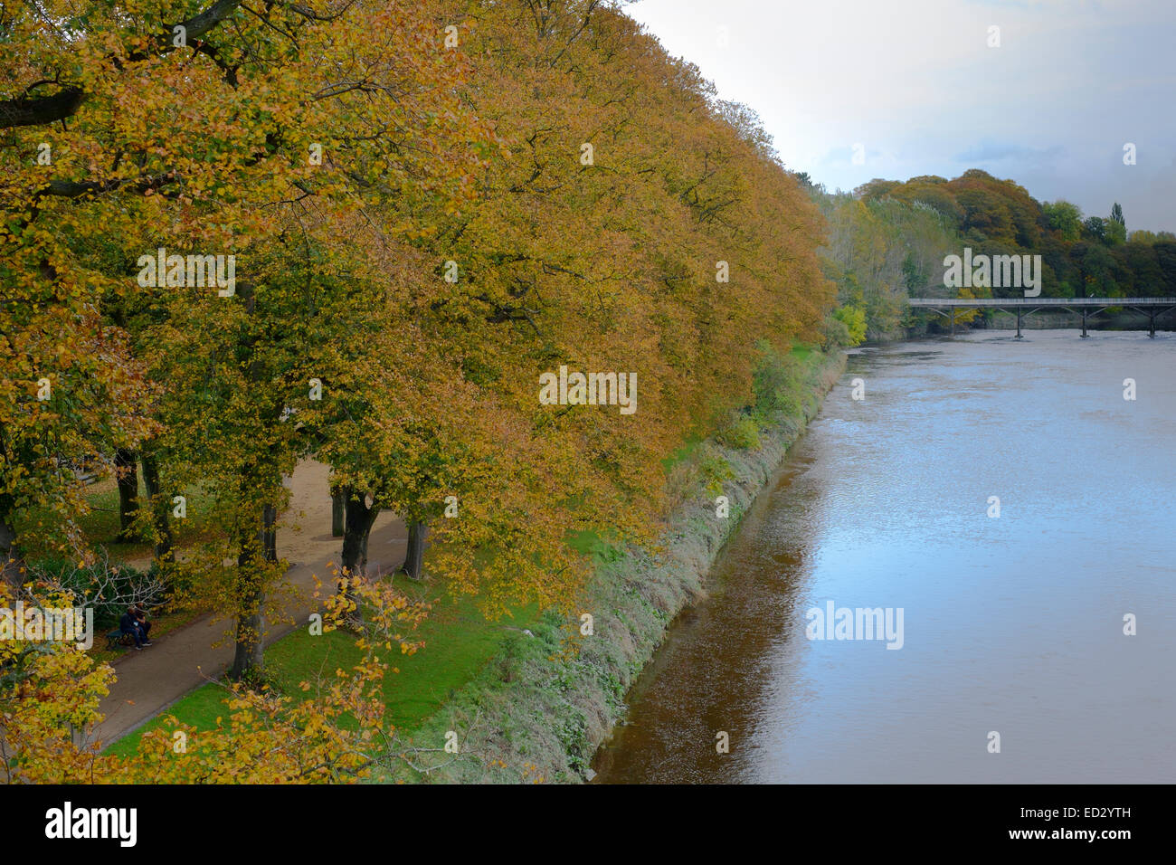 Preston, Lancashire: Autumn trees alongside the River Ribble in Preston ...