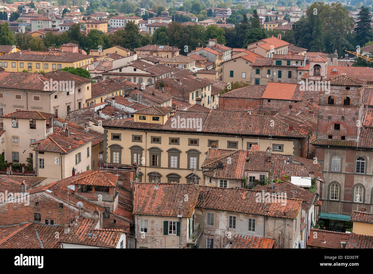 Lucca cityscape from the Guinigi tower, Tuscany, Italy Stock Photo - Alamy