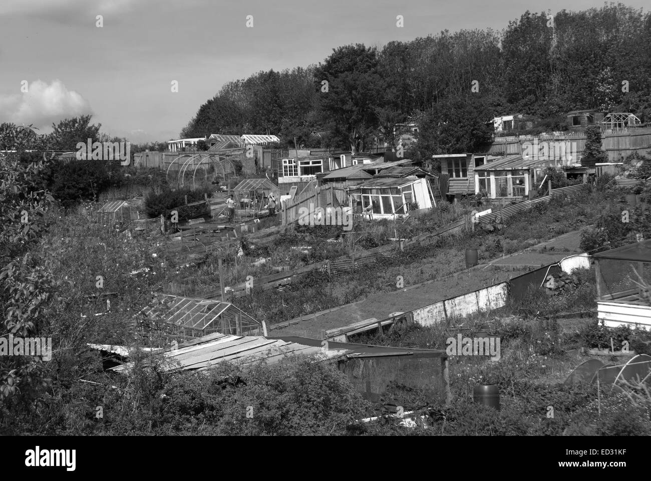 Agriculture plots Black and White Stock Photos & Images - Alamy