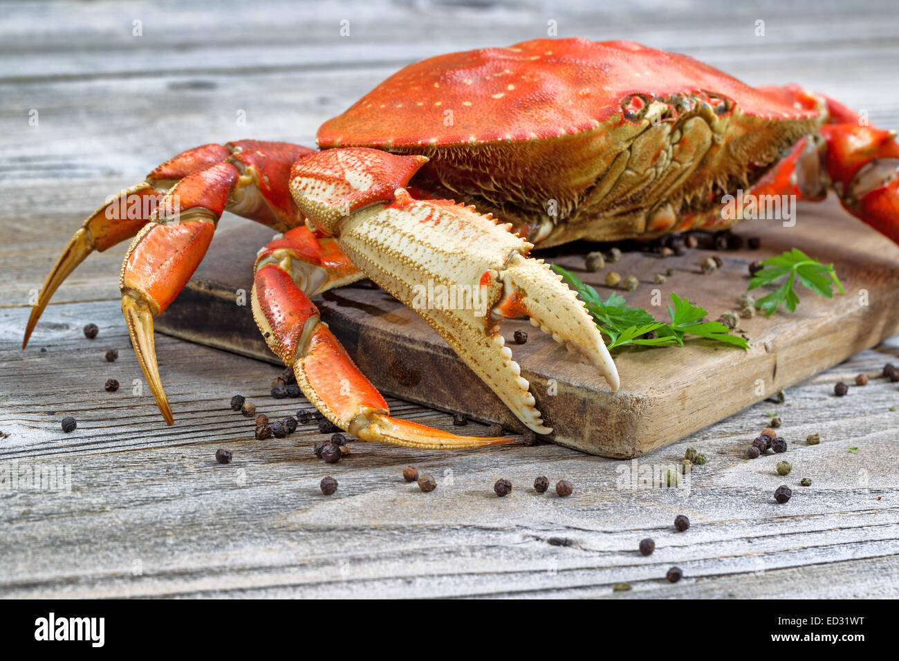 Steam crab seafood hi-res stock photography and images - Alamy