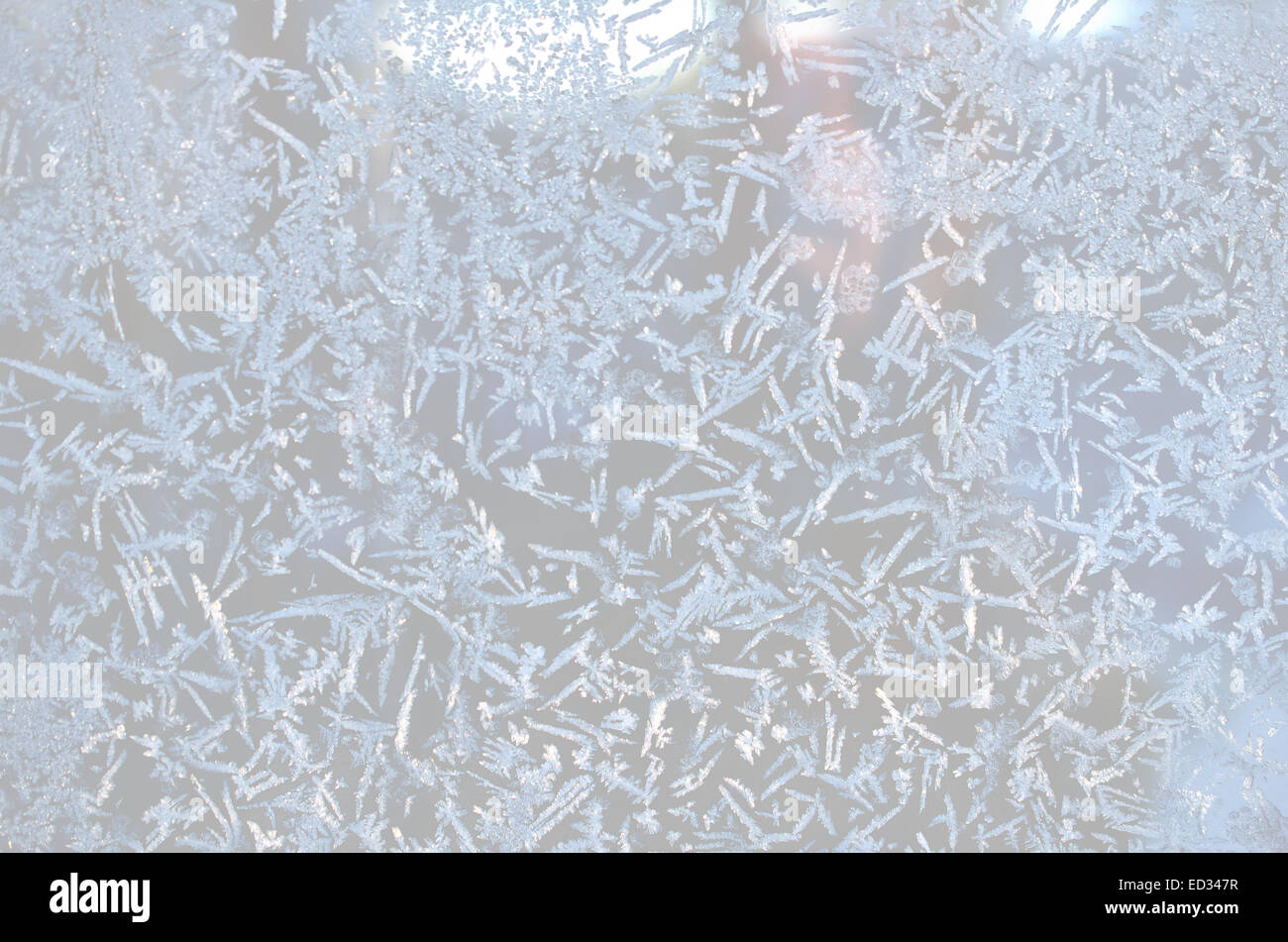 Frosted glass. Ice patterns on winter glass Stock Photo - Alamy
