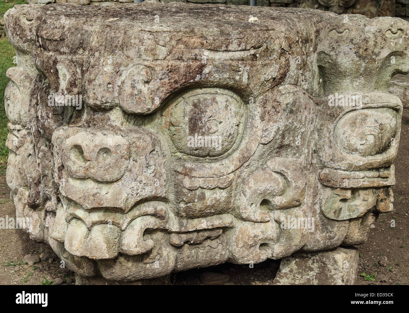 Mayan Stone Face