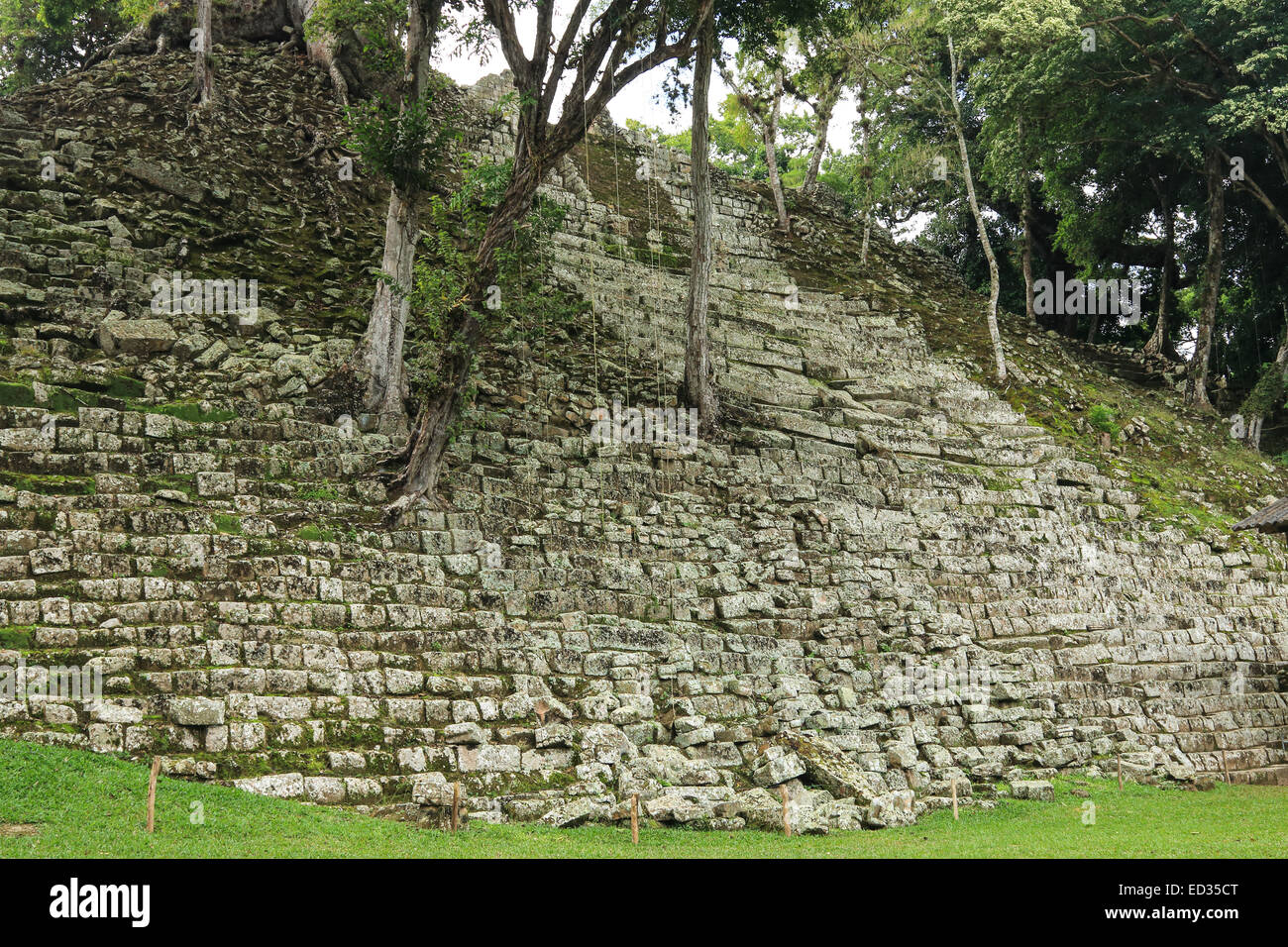 Abandoned temple in the Mayan ruins of Copan, an archaeological site in ...
