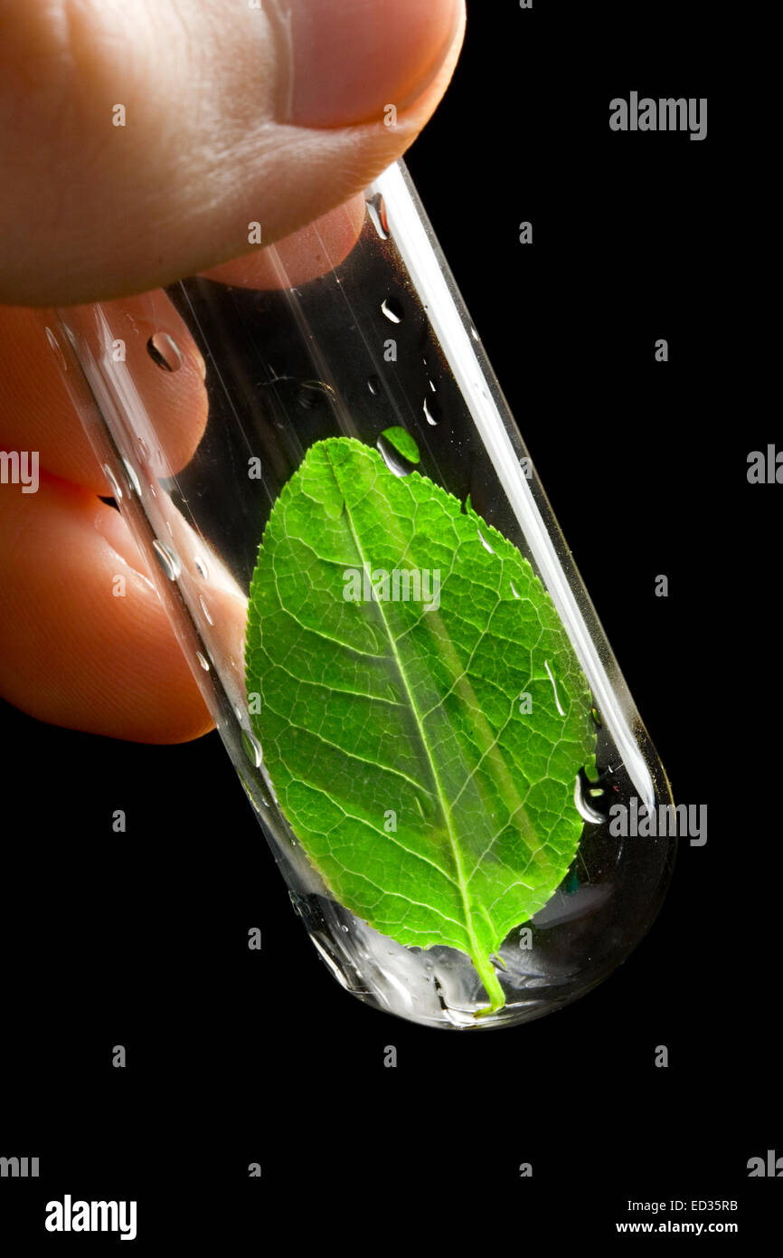 Chemistry test tube detail hi-res stock photography and images - Alamy