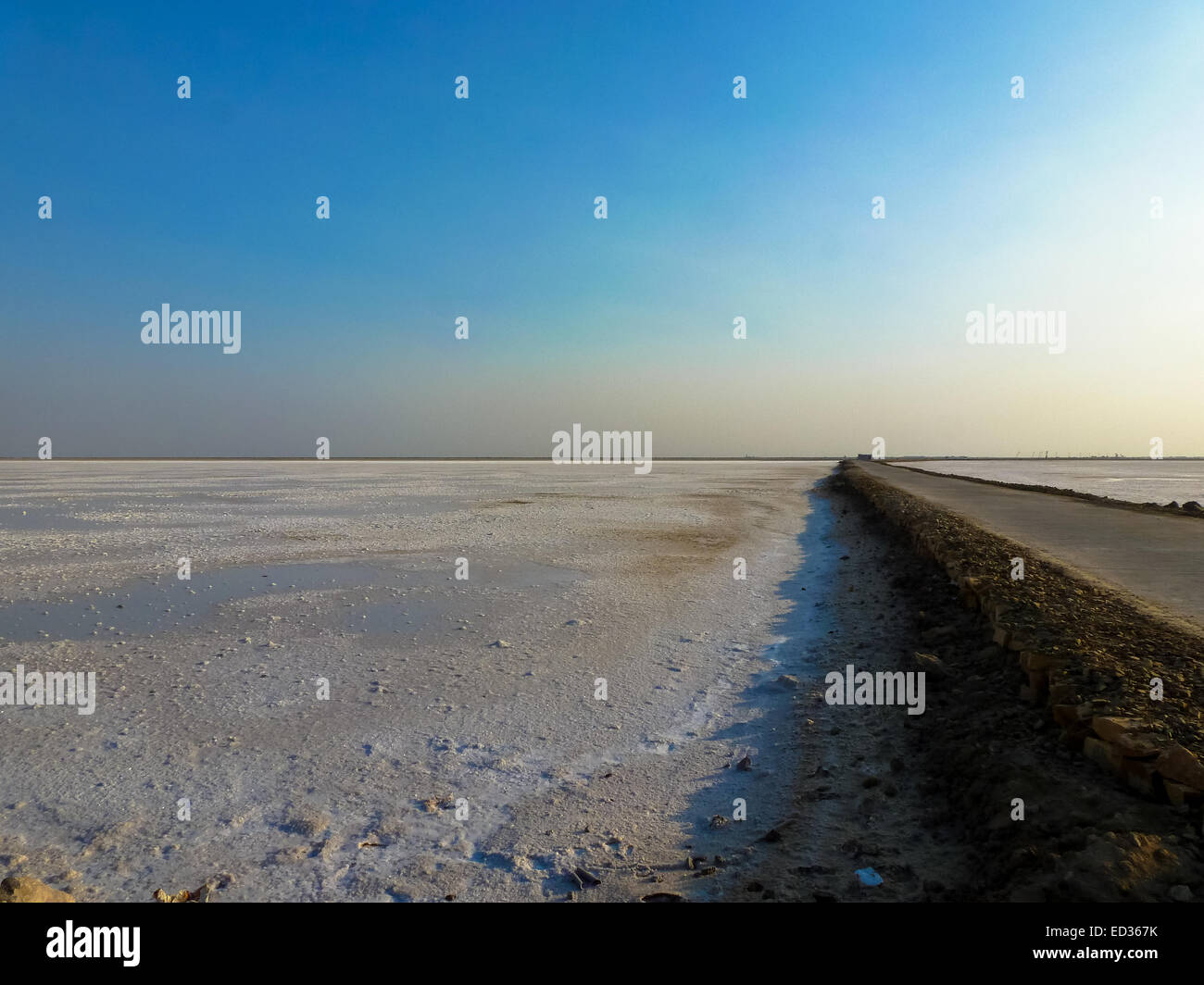 road at saltpan at ran of kutch in gujarat in india Stock Photo - Alamy