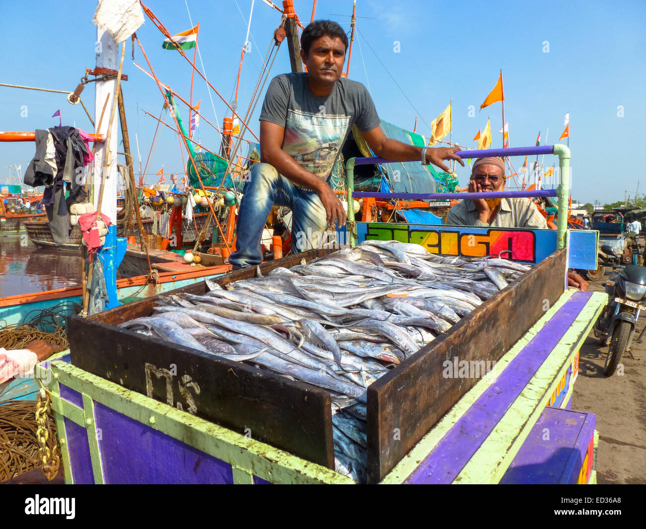 fresh fish in motorrickshaw in somnath gujarat india Stock Photo - Alamy