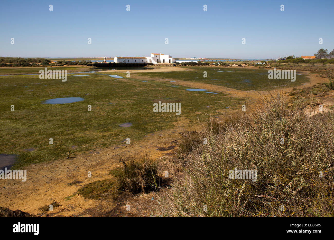 Part of ria formosa nature reserve hi-res stock photography and images ...