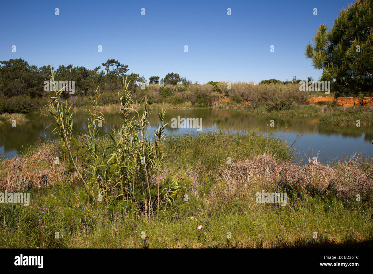 Ria formosa nature reserve in hi-res stock photography and images - Alamy