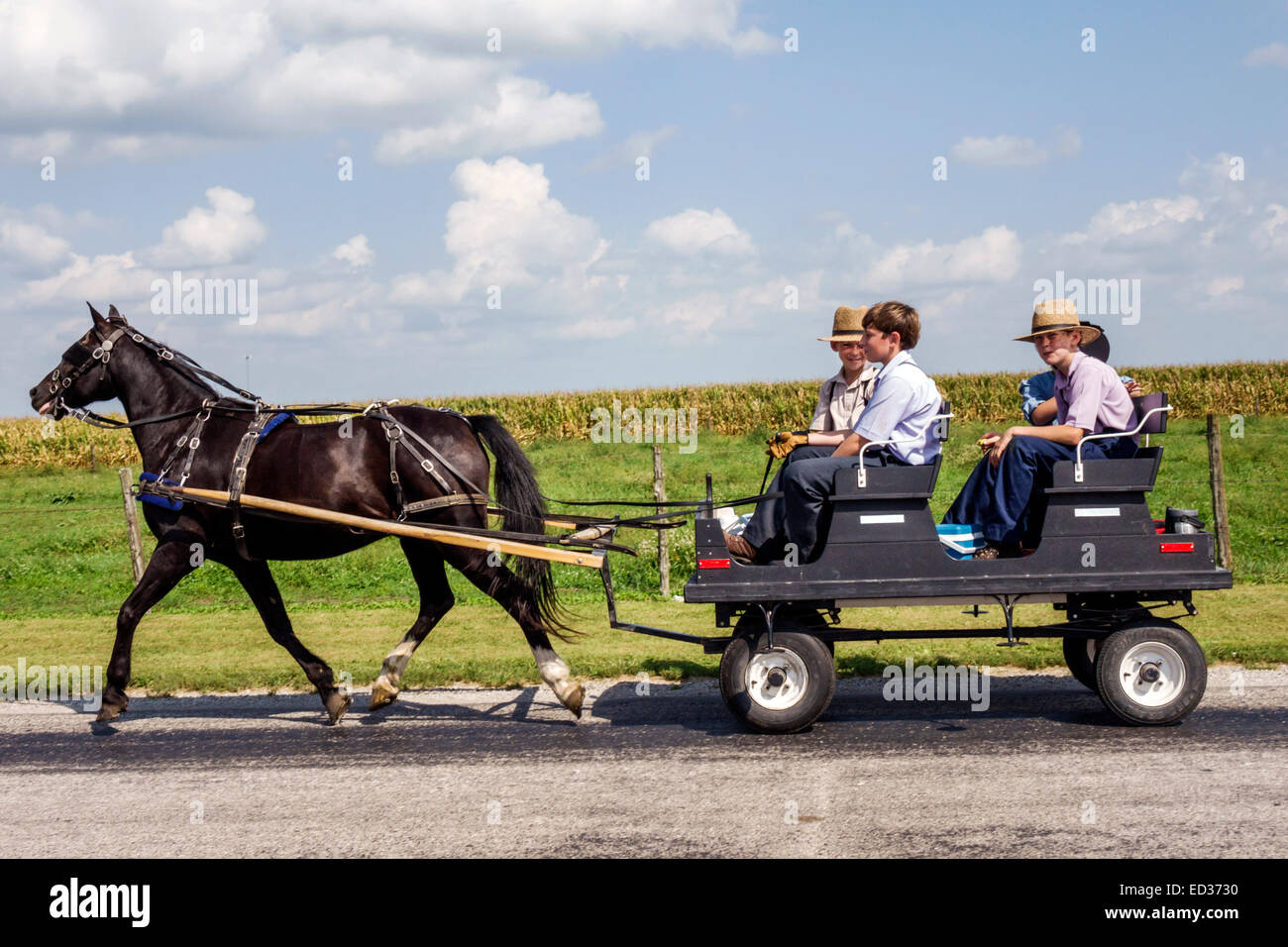 Amish children hi-res stock photography and images - Alamy
