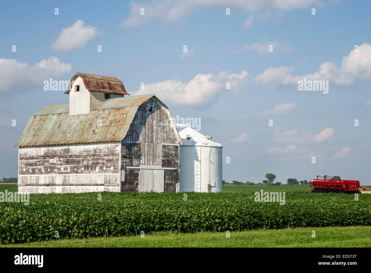 Illinois,Midwest,Tuscola,crop,barn,rural,agricultural,agriculture ...