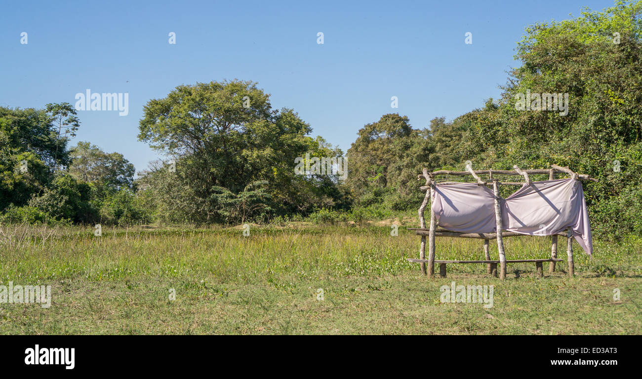 hidden hut for bird watching in pantanal, Brazil Stock Photo - Alamy