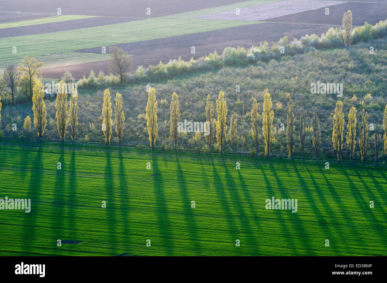 This is a spring landscape Stock Photo - Alamy
