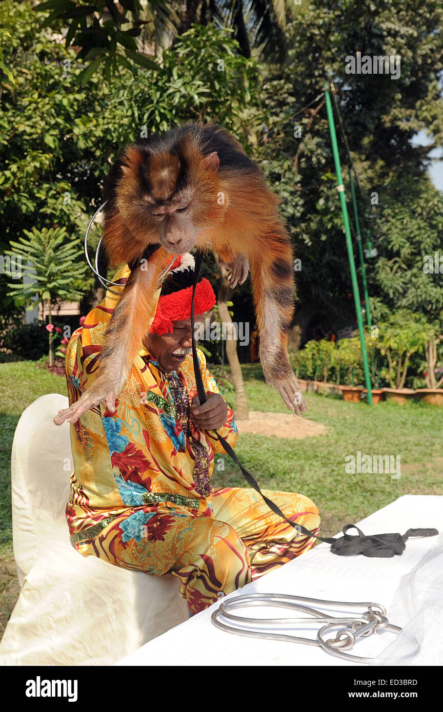 A trained monkey, sitting on a can, shakes hands with its trainer ...