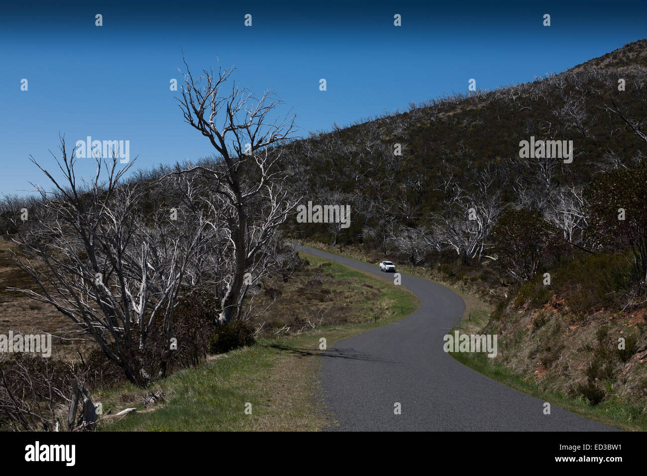 S Bend on the The Alpine Way through the Snowy Mountains NSW Australia ...