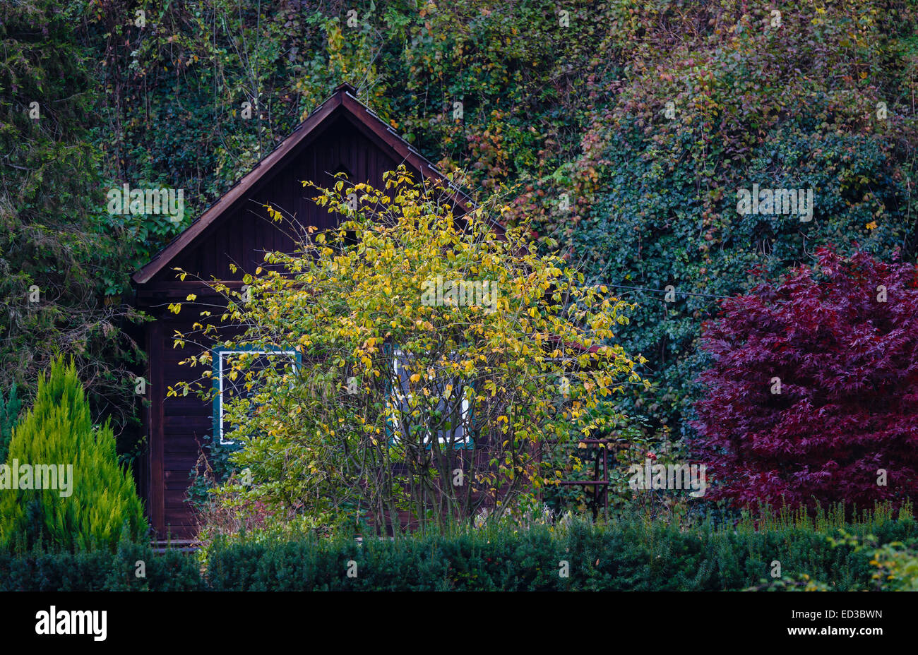 Vibrant colors of fall in the Austrian Alps Stock Photo - Alamy