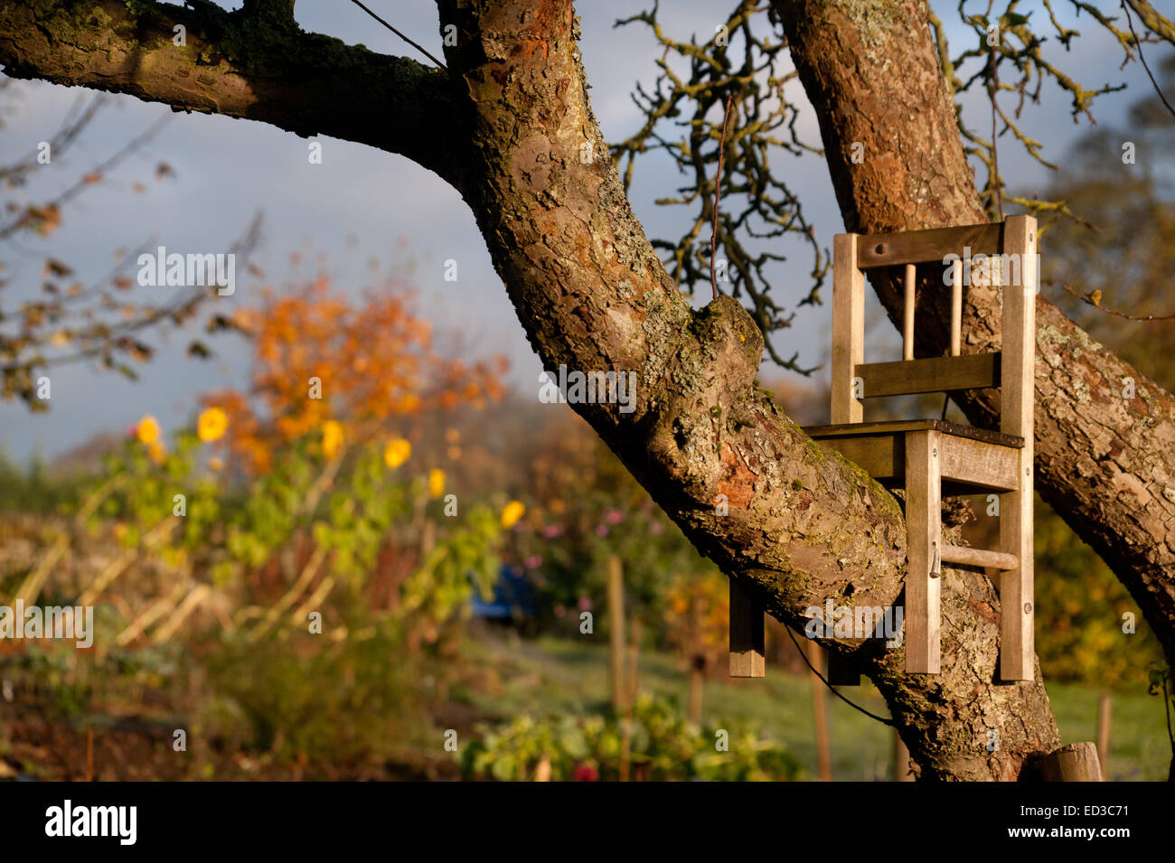Child leaning chair hi-res stock photography and images - Alamy