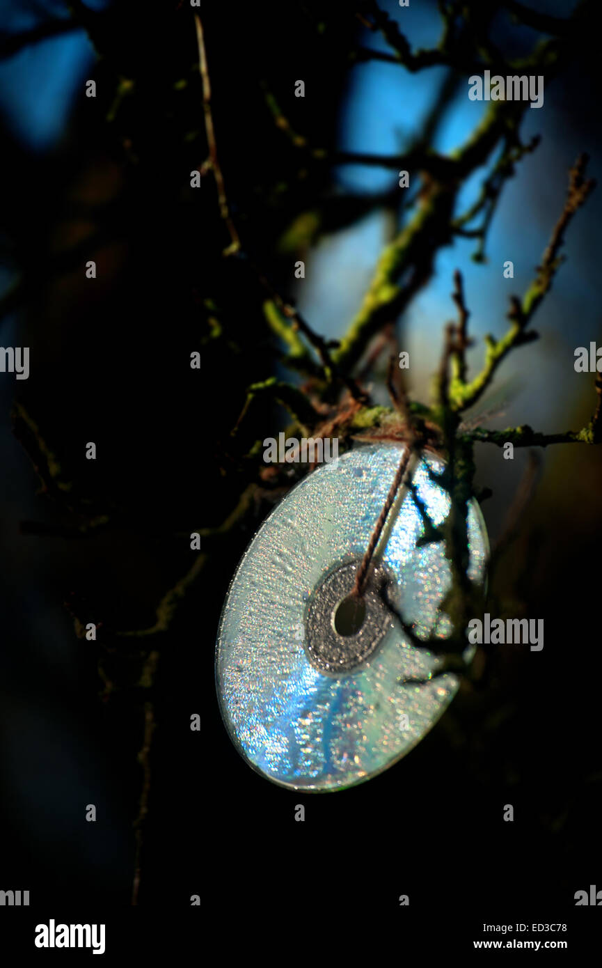 Hanging scarecrow hi-res stock photography and images - Alamy