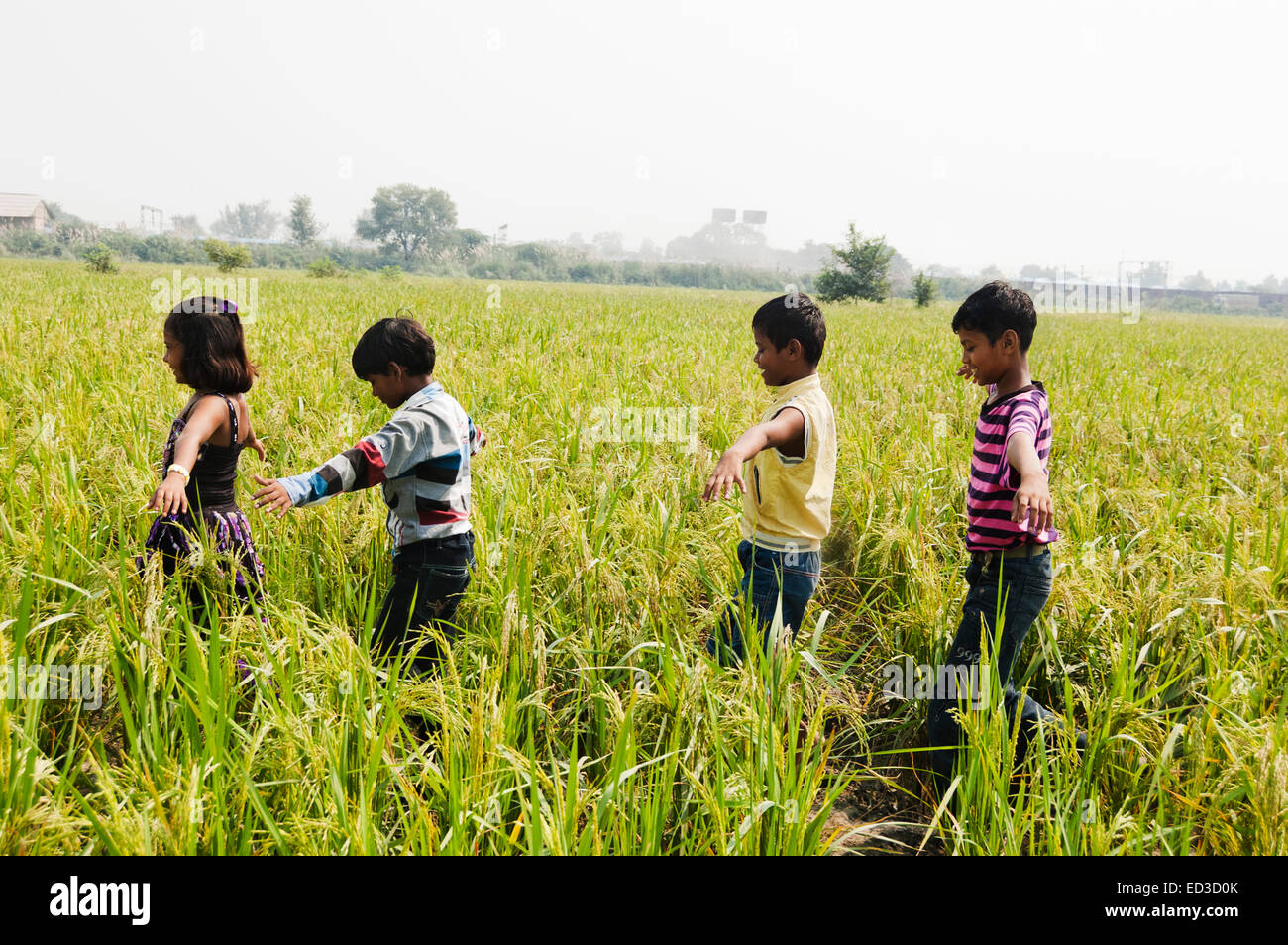 4 indian rural children farm enjoy Stock Photo - Alamy