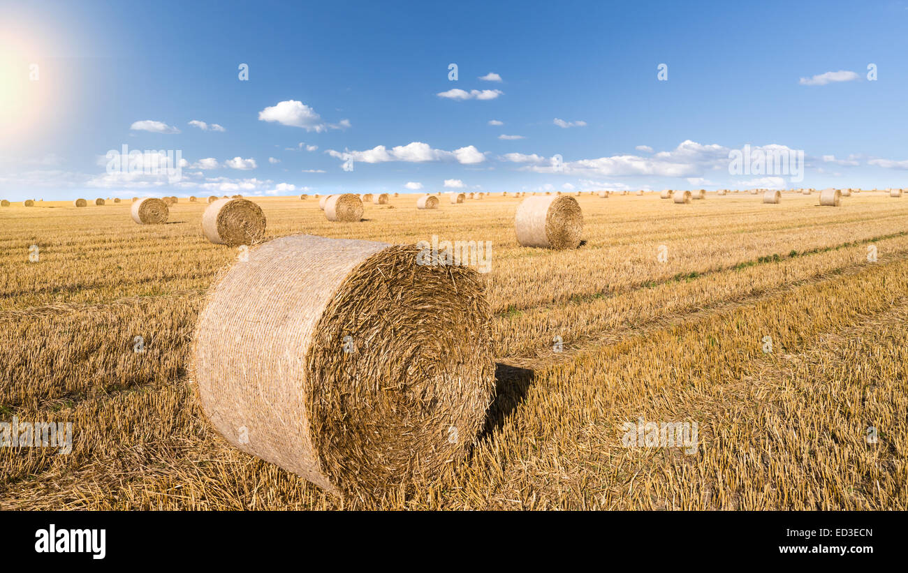 Straw sunlight hi-res stock photography and images - Alamy