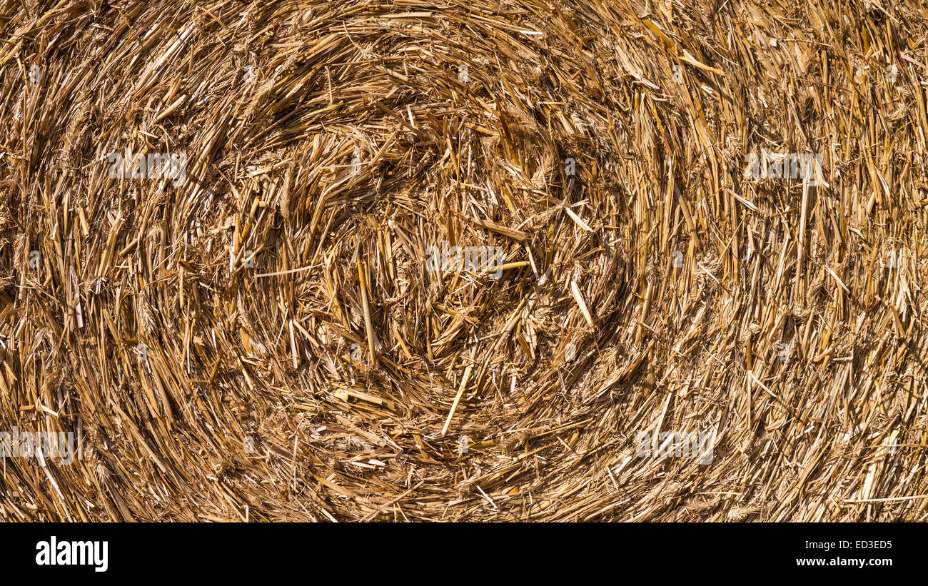 Straw bale texture hi-res stock photography and images - Alamy