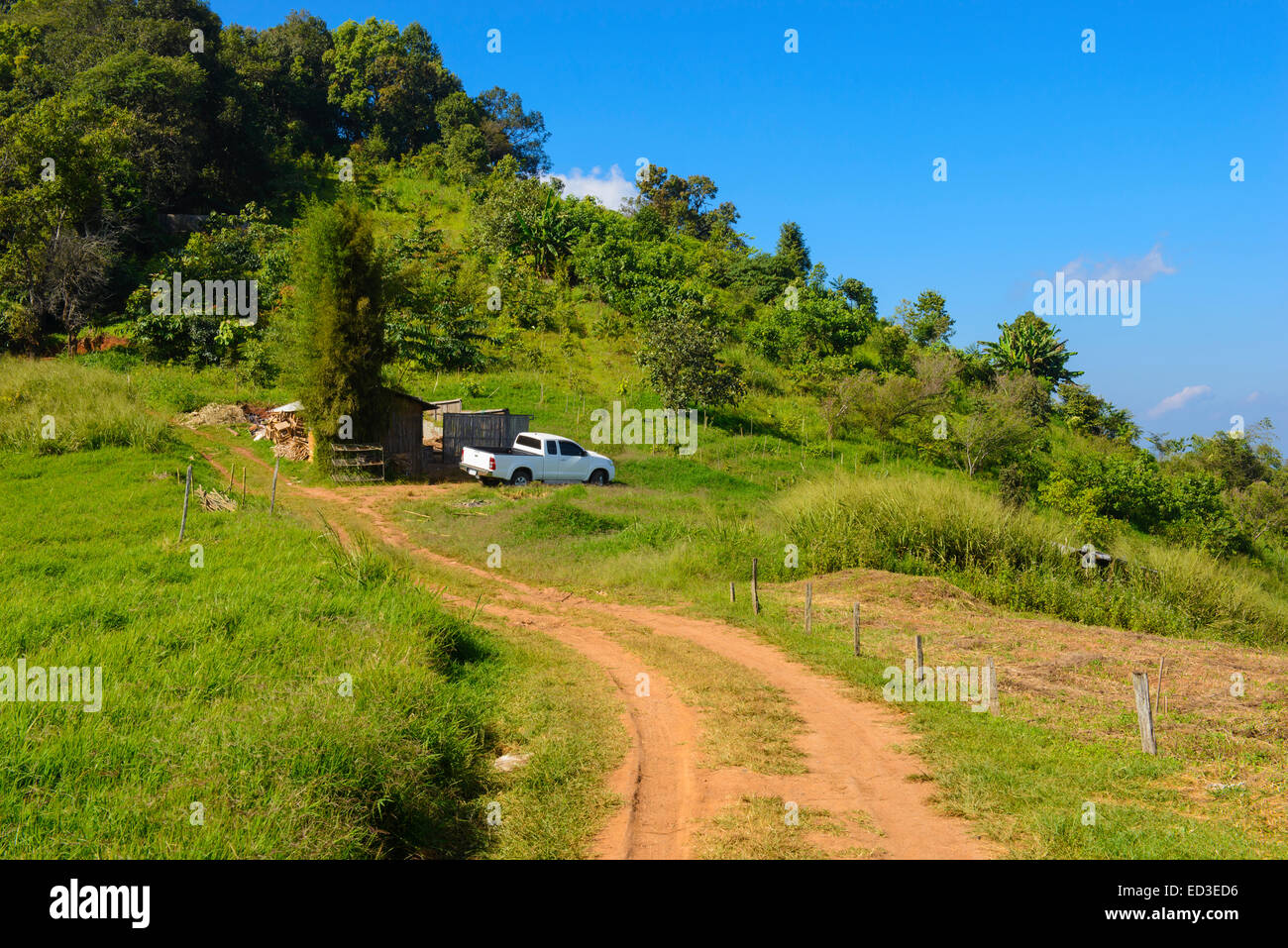Farmhouse and rural road Stock Photo - Alamy