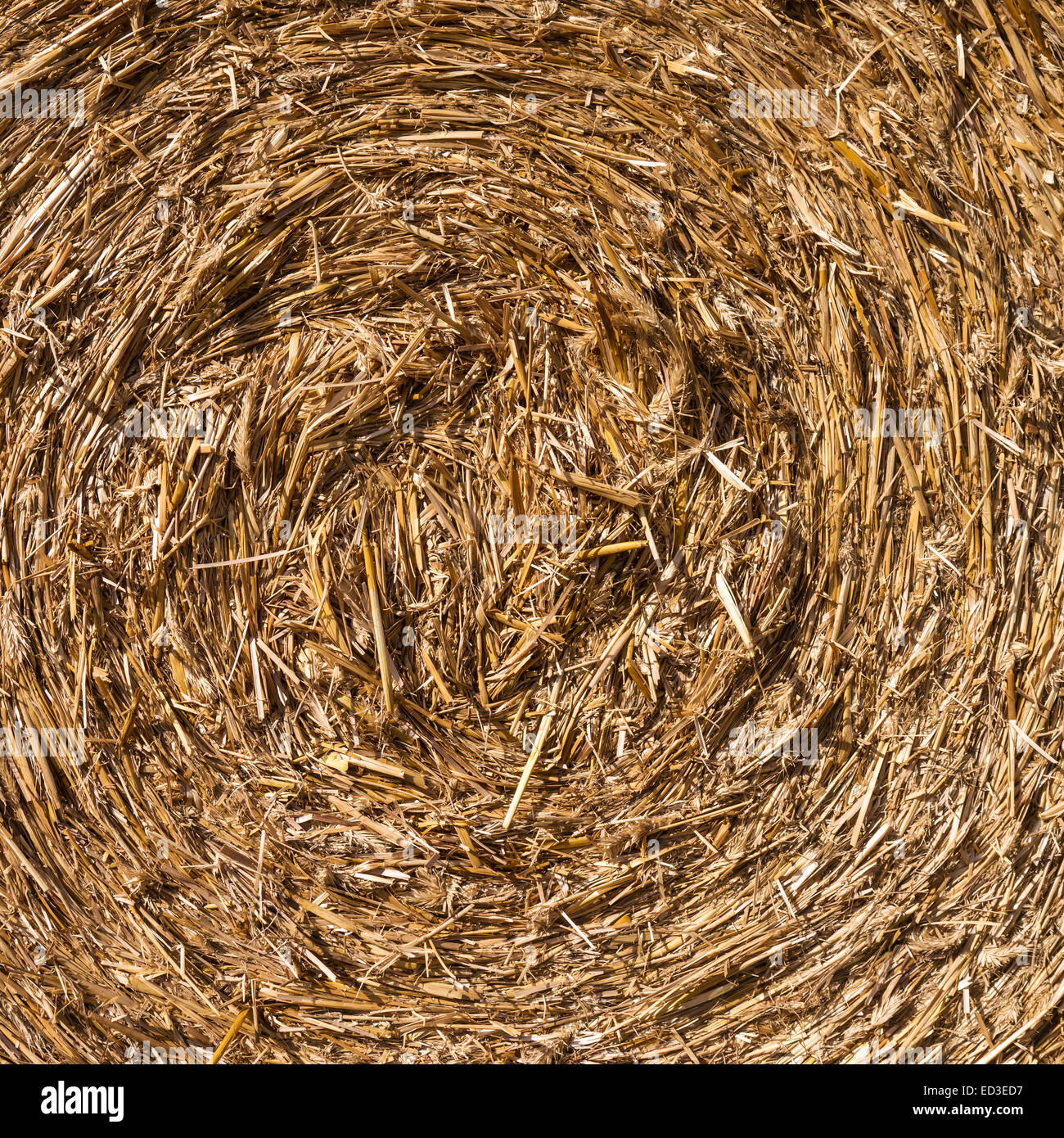 straw bale background (texture) closeup Stock Photo - Alamy