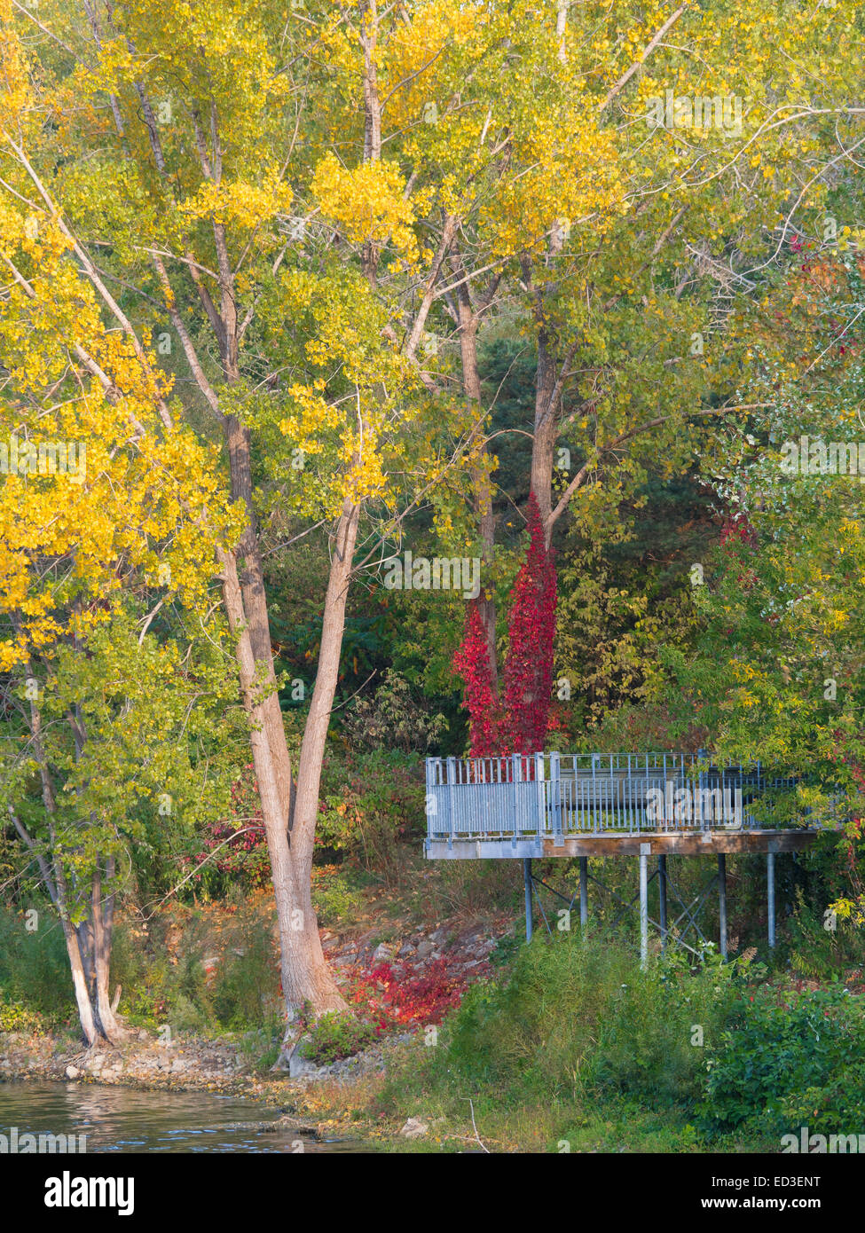 Nature in Fall Stock Photo - Alamy