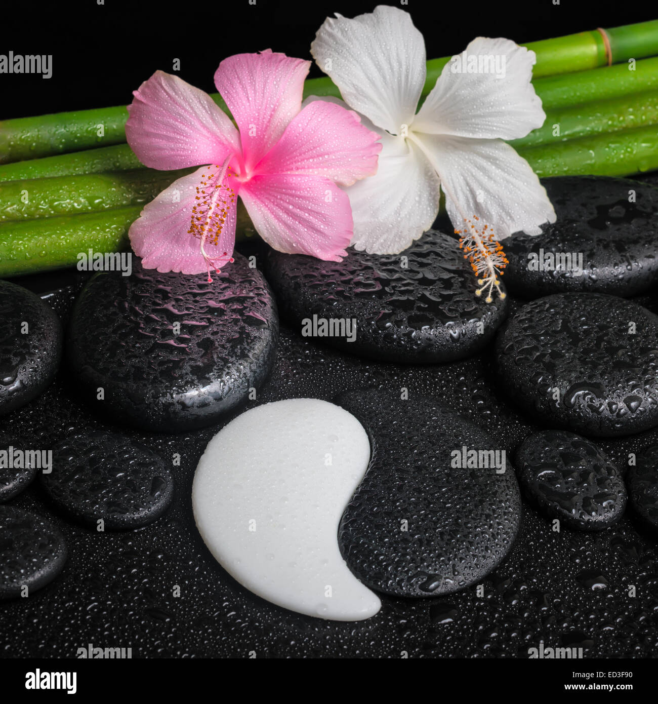 spa setting of white, pink hibiscus flowers, symbol Yin Yang and ...