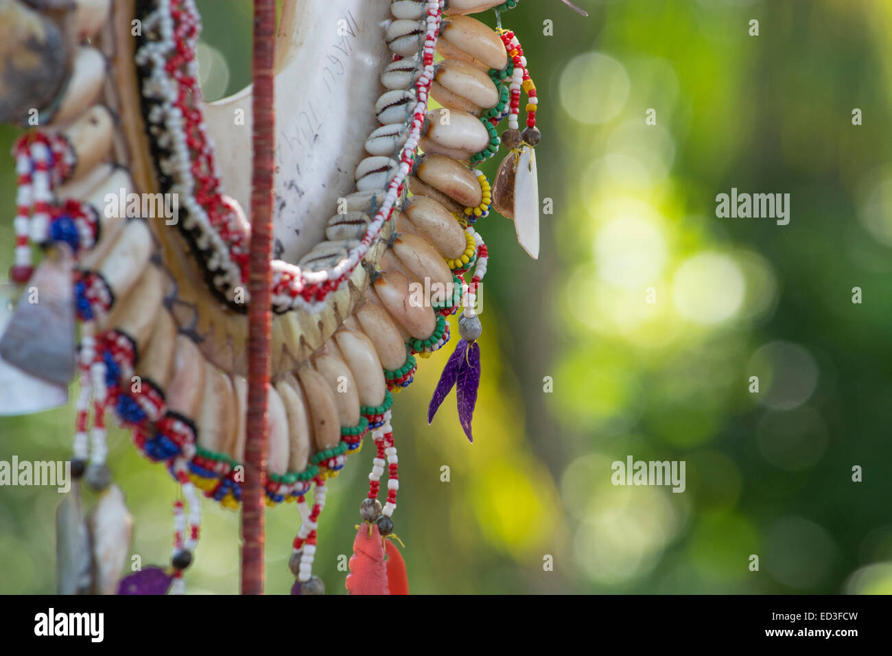 Papua new guinea shell money hi-res stock photography and images - Alamy