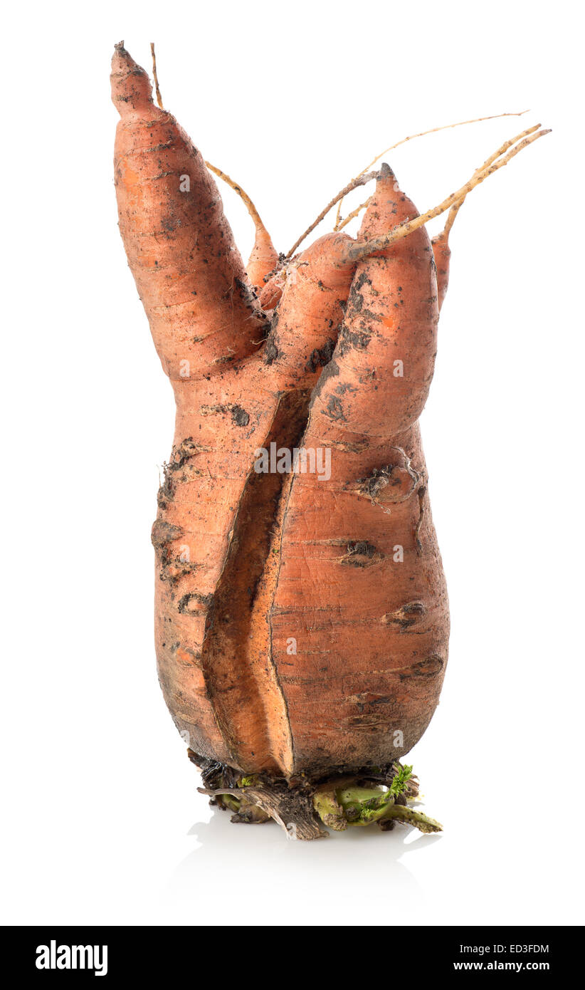 Carrot of unusual form isolated on a white background Stock Photo - Alamy
