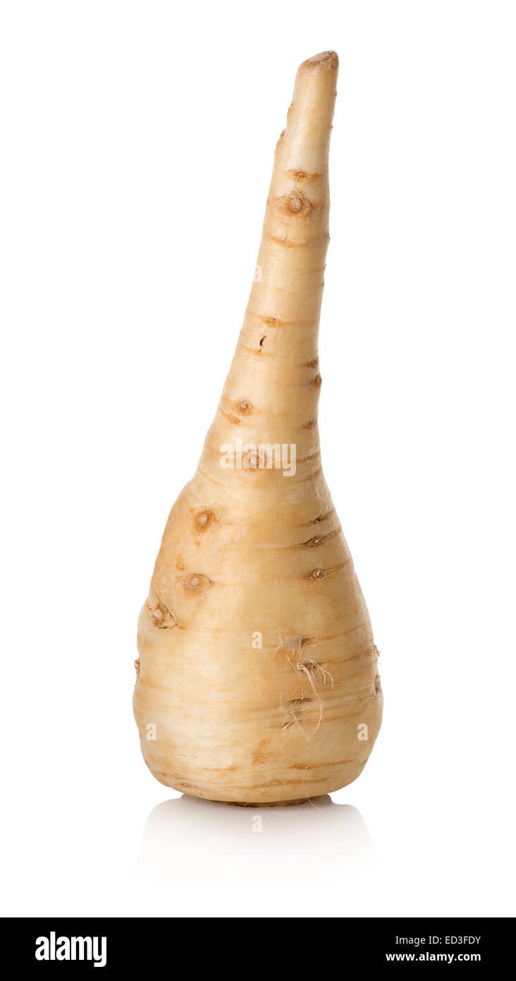 Parsley root isolated on a white background Stock Photo - Alamy