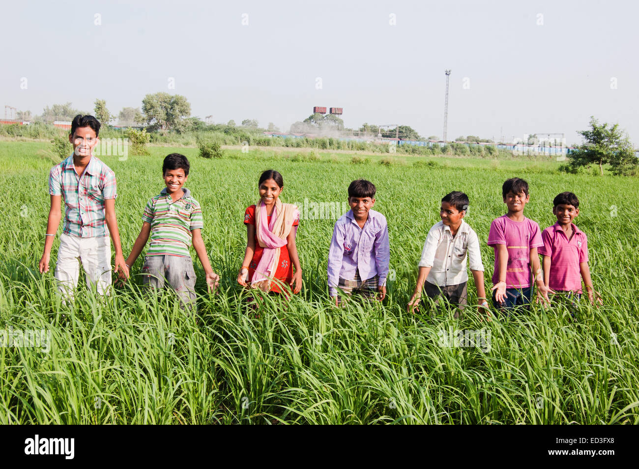 Group farm hi-res stock photography and images - Alamy