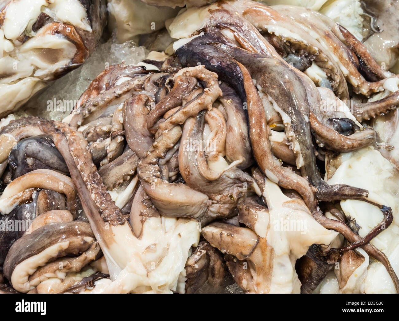Fresh octopus on the ice tray in Thai market Stock Photo - Alamy