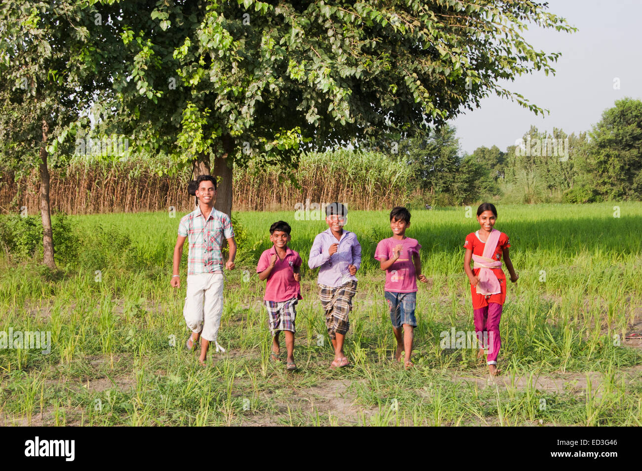 indian rural children group farm fun Stock Photo - Alamy