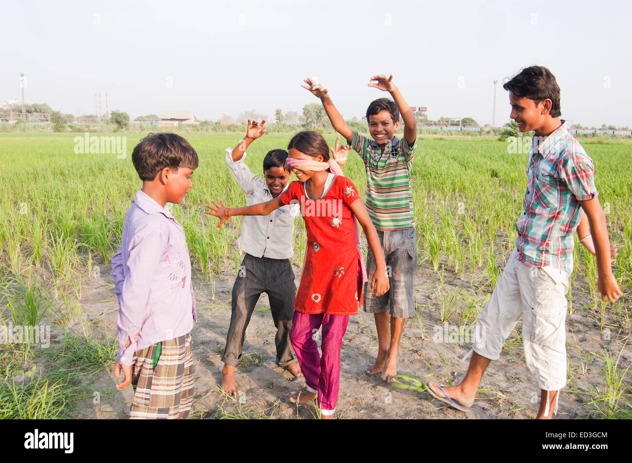 indian rural children farm playing Hide and Seek Stock Photo - Alamy