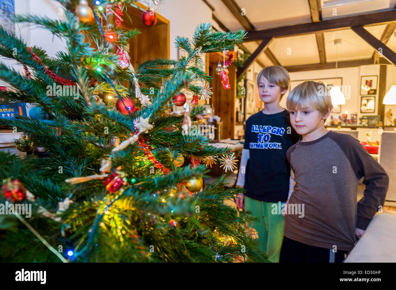 two young brothers enjoying from Christmas tree at home Stock Photo - Alamy