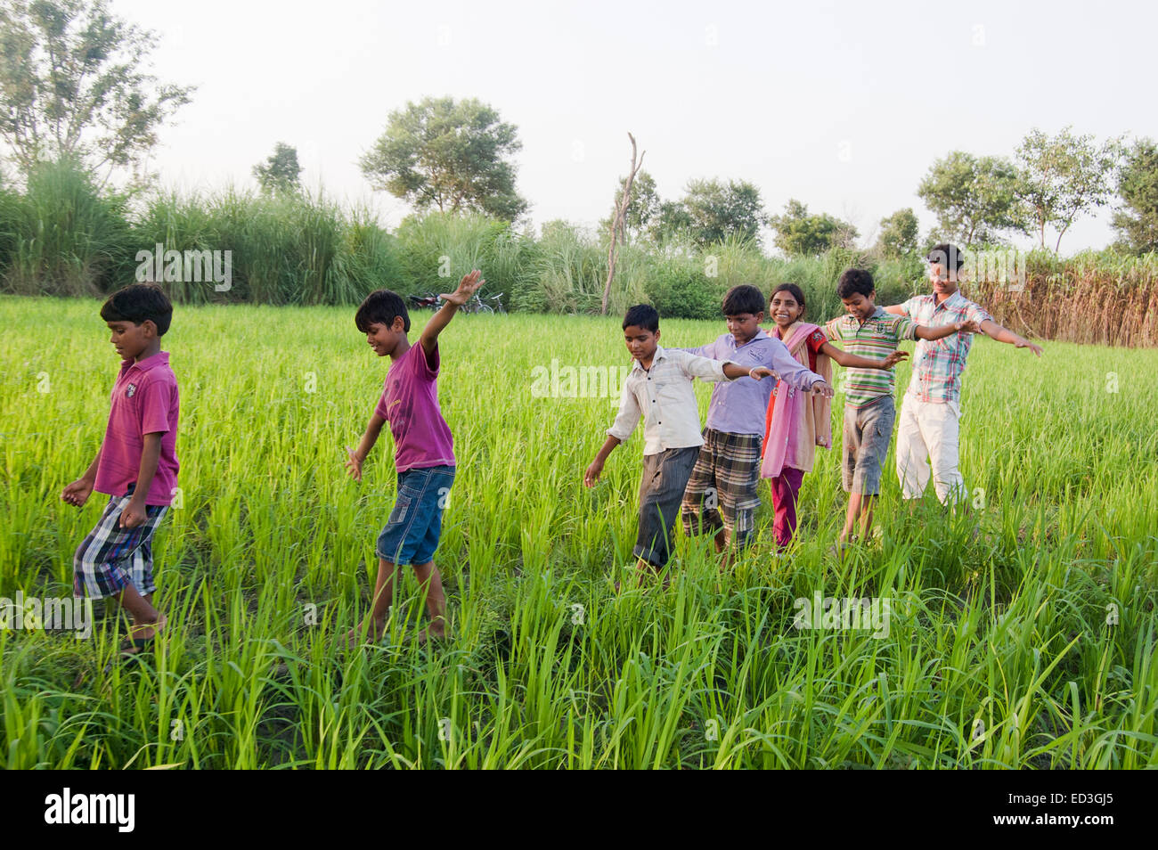 indian rural children group farm fun Stock Photo - Alamy