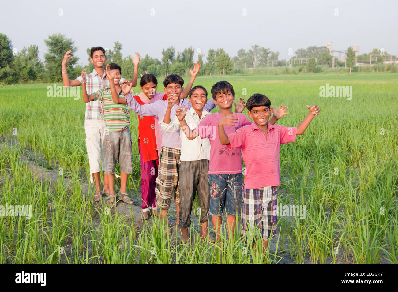 indian rural children group farm Standing Queues Stock Photo - Alamy