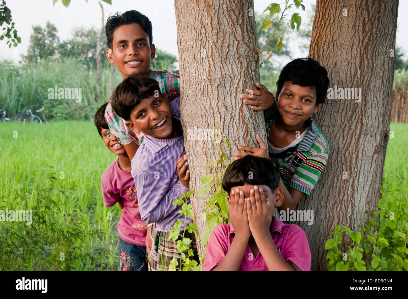 indian rural children group farm playing Hide and Seek Stock Photo - Alamy