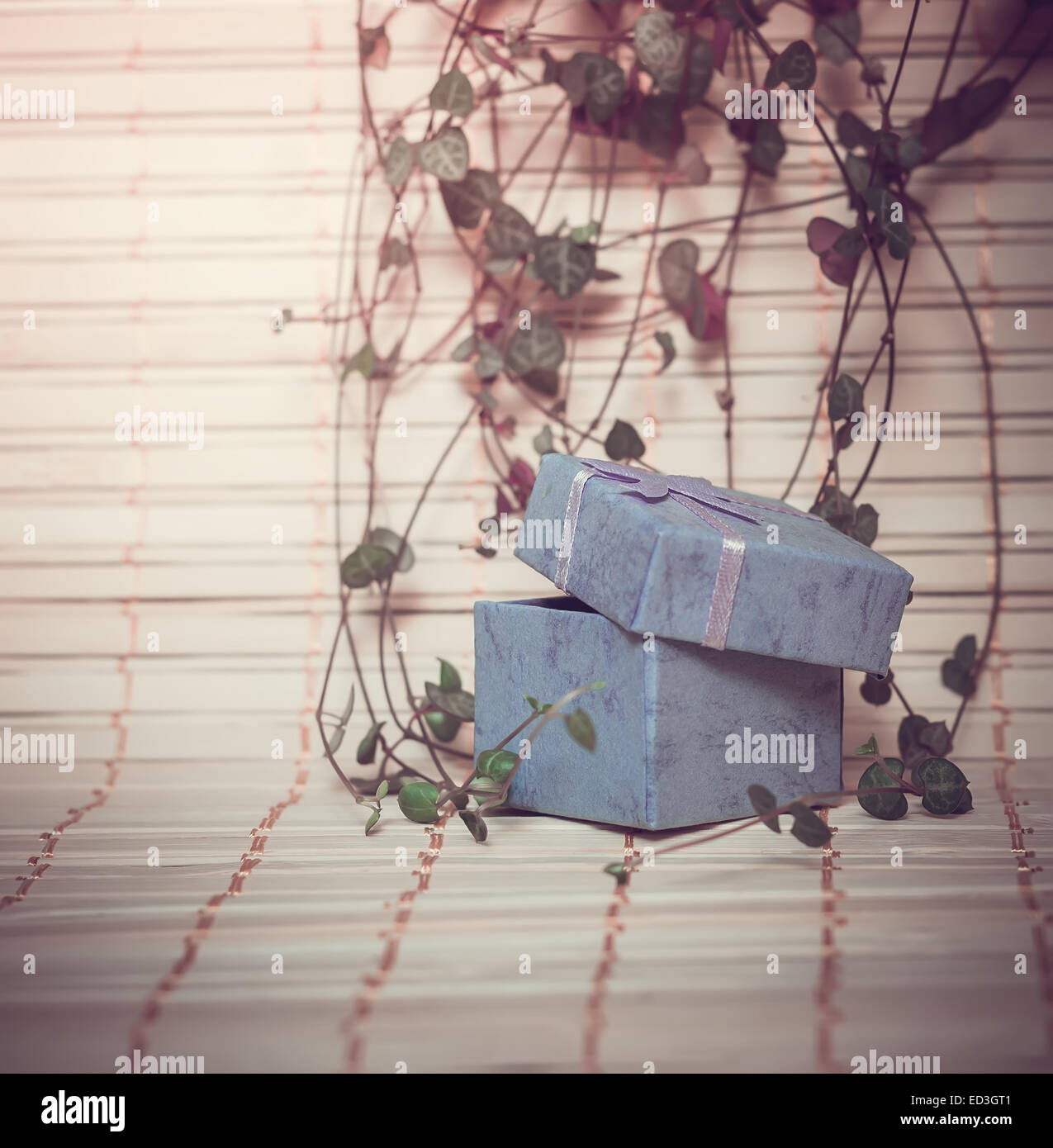 Open gift box Stock Photo - Alamy