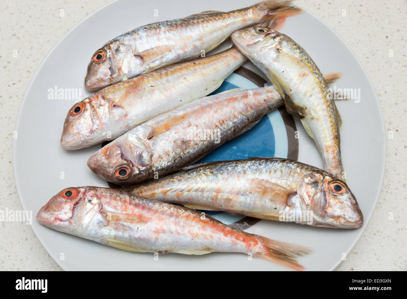 mullet small stalls on a plate Stock Photo - Alamy