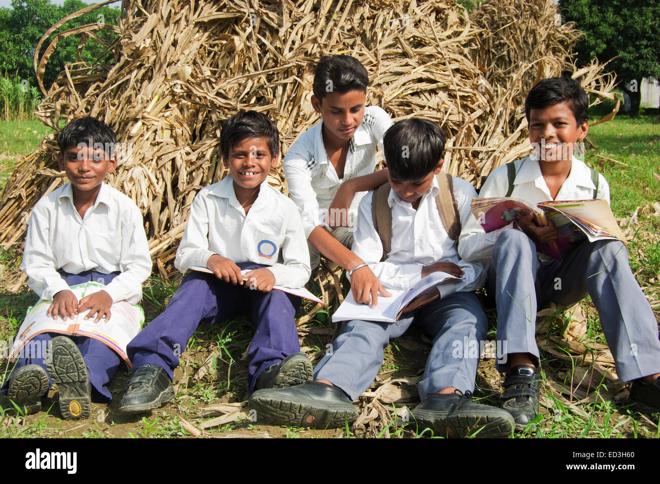 indian rural children school Students farm Study Stock Photo - Alamy