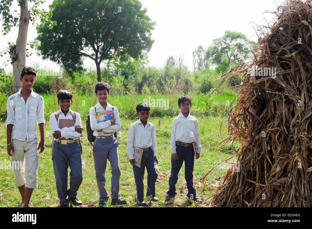 indian rural children school Students going school Stock Photo - Alamy