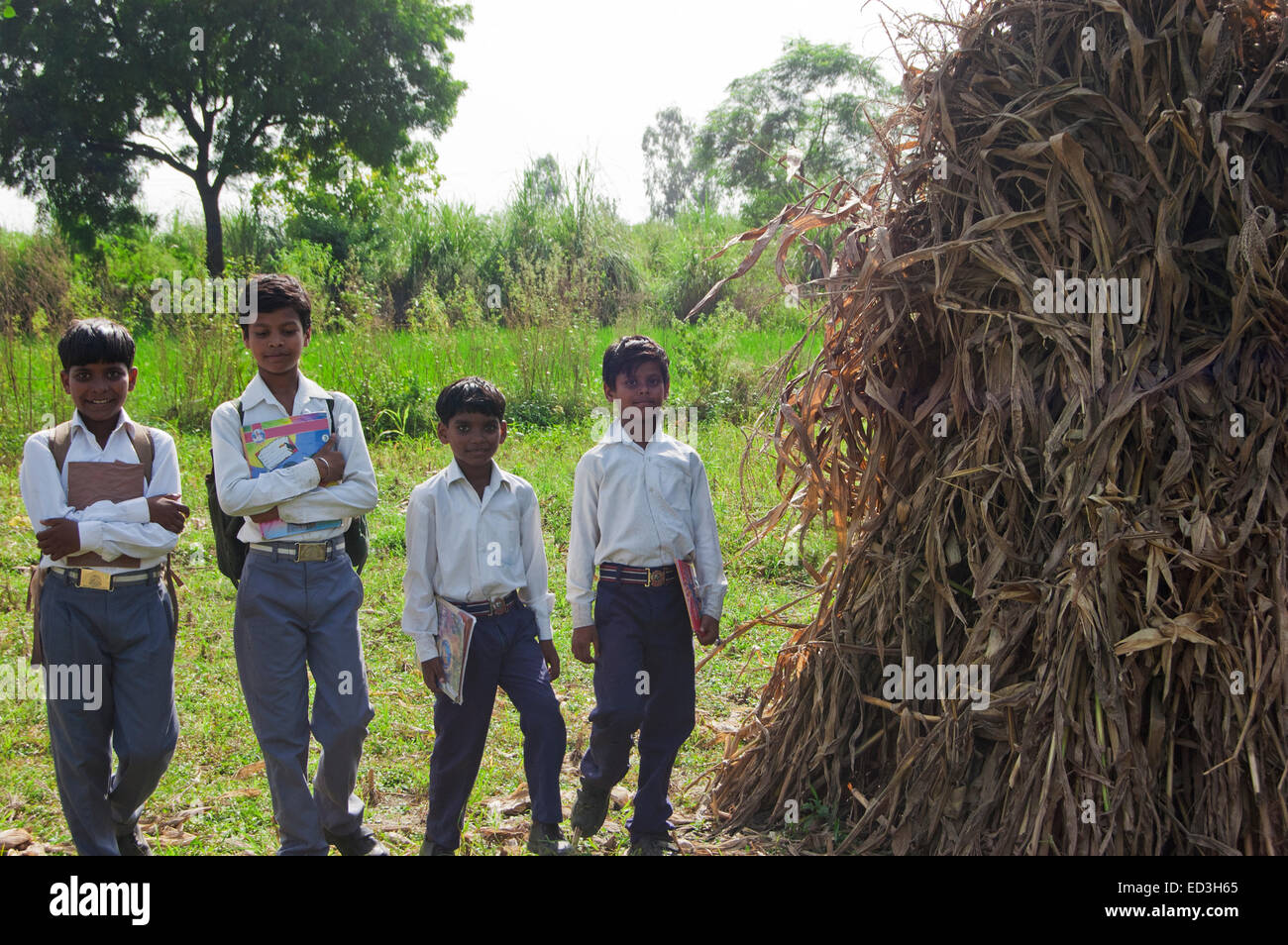 indian rural children school Students going school Stock Photo - Alamy