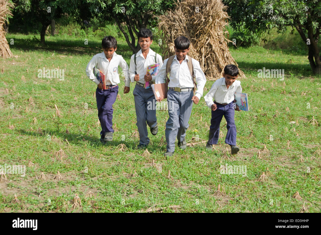 indian rural children school Students going school Stock Photo - Alamy