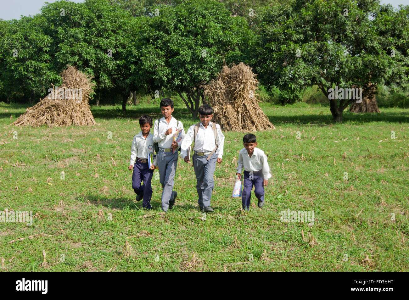 indian rural children school Students going school Stock Photo - Alamy