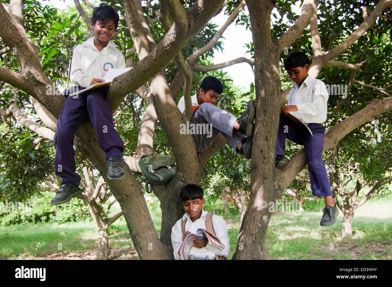 indian rural children school Students sitting Tree Trunk Study Stock ...